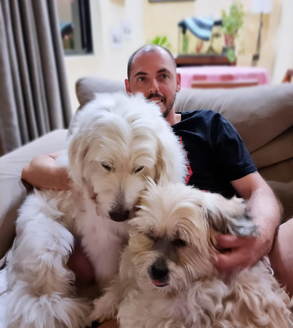 WarnerBros.com.br | Os pets dos Warner Players! | Artigo